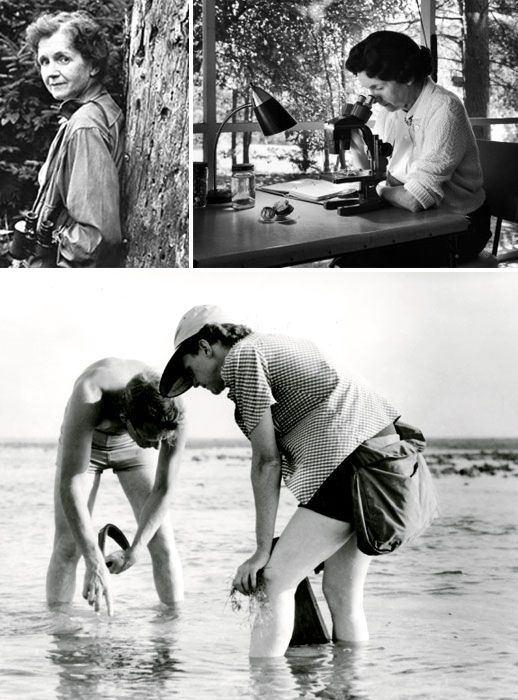 Rachel Carson—Hero Above All – CONSERVING NATURE WITH WORDS & PHOTOS